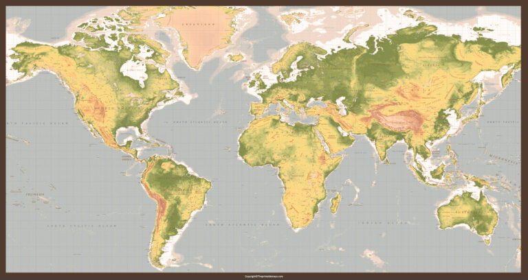 World Topographic Map | Earth's Terrain and Elevation